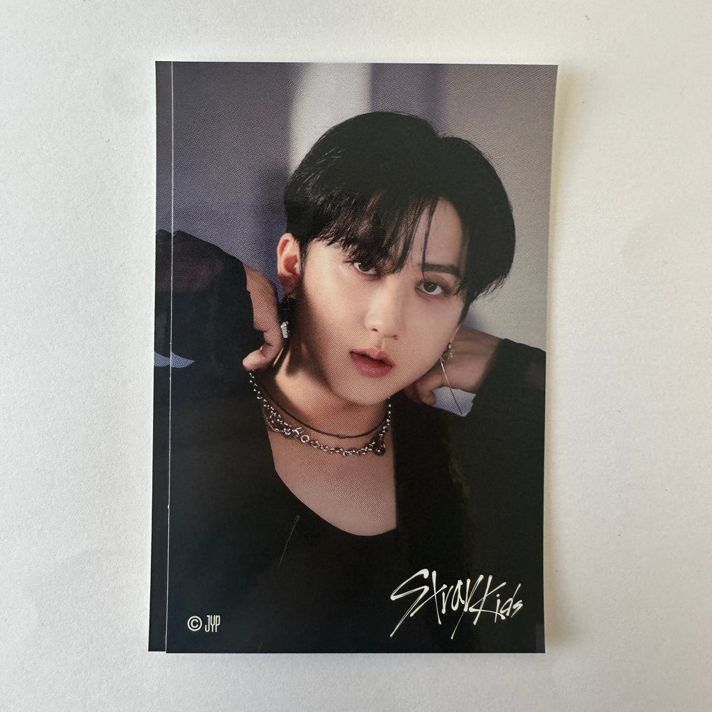Stray Kids – Page 4 – lilakshop